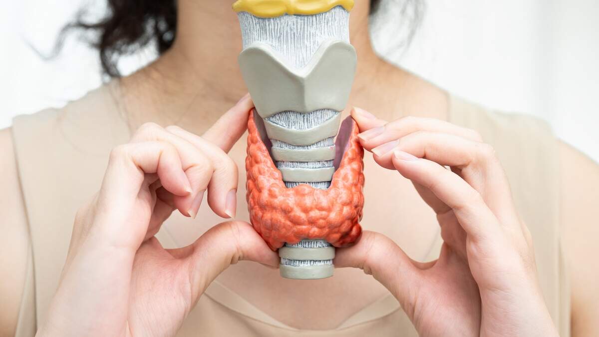 Thyroid: TSH, T3, T4 – which levels are important? | Luxembourg Times