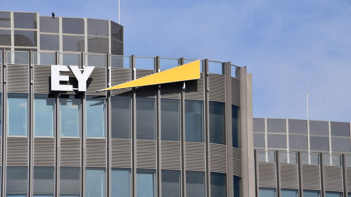 EY’s Wirecard audits marred by ‘repeated grave’ violations of duties ...